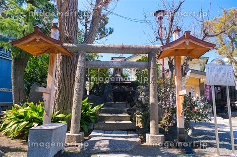 東京都江戸川区 平井諏訪神社平井の富士塚の写真素材 251715462 イメージマート