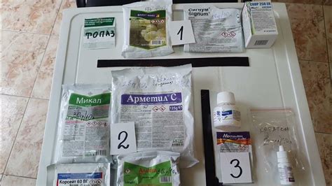 2024г Актуални препарати за пръскане овошки лози зеленчуци Youtube