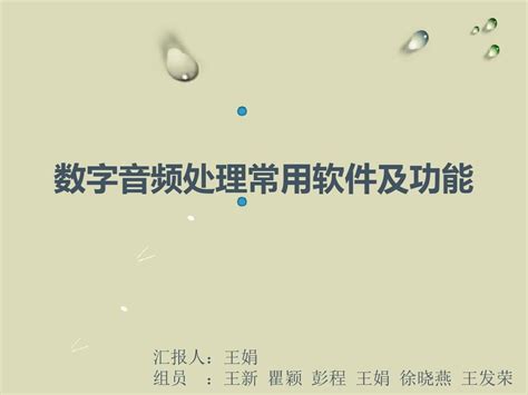 数字音频处理常用软件及功能word文档在线阅读与下载无忧文档
