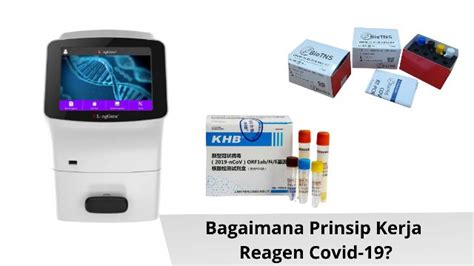 Bagaimana Prinsip Kerja Reagen Covid 19 Andaru Persada Mandiri