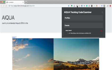 Tracking Code Examiner For Google Chrome Extension Download