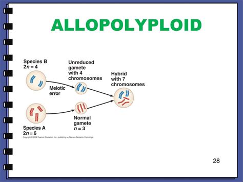 Ppt Chapter 24 Powerpoint Presentation Free Download Id2151638