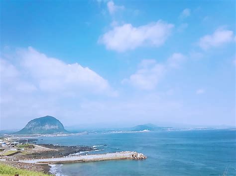 브런치북 함께 가면 멀리간다
