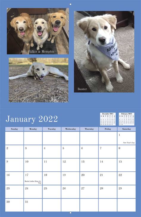 Triad Golden Retriever Rescue 2022 Calendar Fundraising