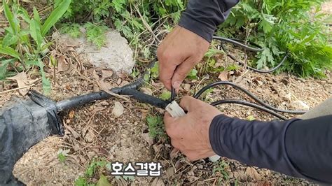 미니스프링쿨러 설치하기 Youtube