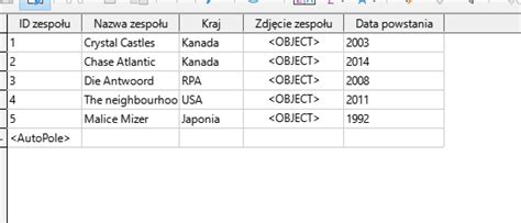 Zeszyt do informatyki Relacyjna baza danych Płytoteka