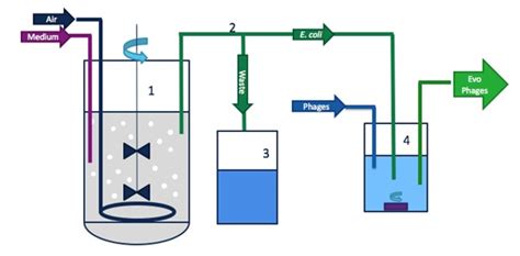 Team Tu Dresden Modeling
