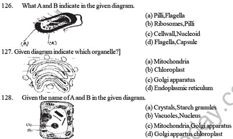 Neet Biology Cell Structure And Function Mcqs Set A Multiple Choice