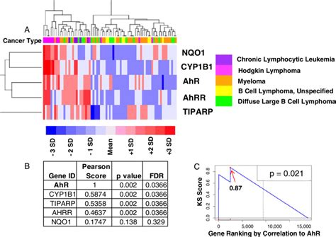 relative expression of ahr mrna and ahr target genes in human tumor