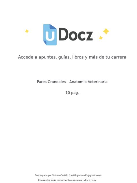 Pares Craneales Anatomía Veterinaria Pdf Nervio Ojo