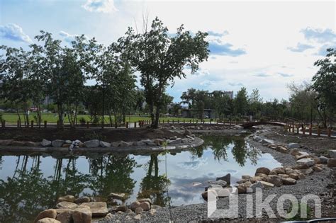 Хүүхдийн паркийн цэцэрлэгт хүрээлэнгийн тохижилтыг харуулсан гэрэл зургууд