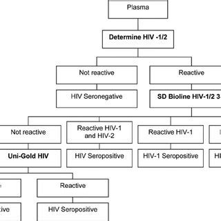 A Algorithm And Results Using A Capillus Screening Rapid HIV Antibody Download Scientific