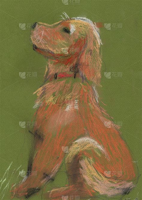 狗赛特种猎狗儿童画垂直画幅艺术家褐色艺术绘画插图古老的