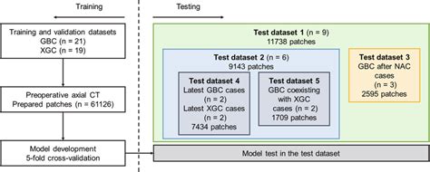 The Study Workflow And Methodological Process Download Scientific Diagram