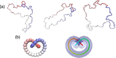 Polymer Knots In The Extreme Case With H 2a The 2d Case A Three Download Scientific