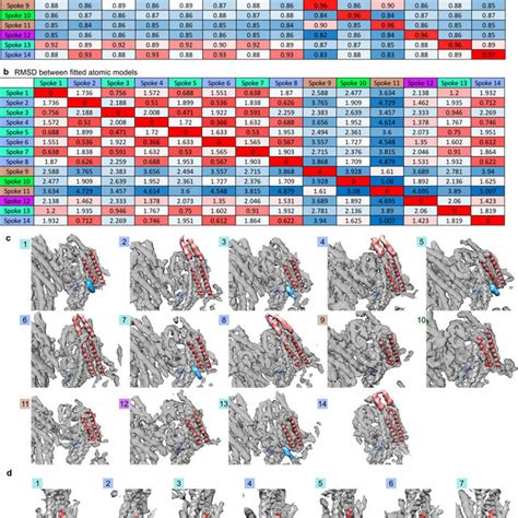 Structural Grouping And Unique Gcp Variant Specific Features Identify