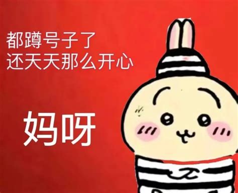 吉伊卡哇chiikawa抽象文字表情包相关表情包 表情包专辑 求表情网 斗图从此不求人