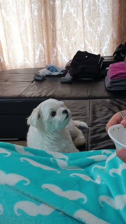 아 맛있겠다 Youtube