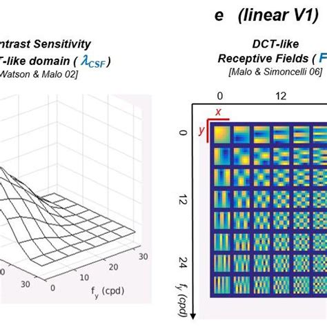 Center Surround Receptive Fields In Lgn And Equivalent Contrast