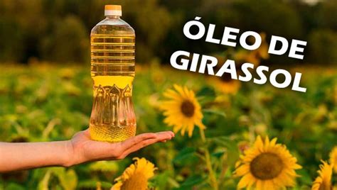 Óleo De Girassol Benefícios Para A Pele E Cabelo Buscar Saúde