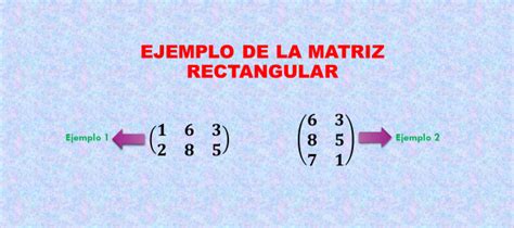 INTRODUCCIÓN A LOS CONCEPTOS DE MATRICES SESIÓN 1