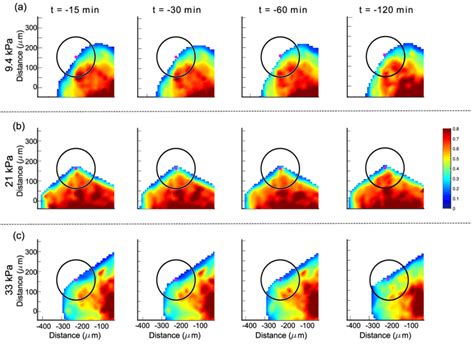 Regions Of Increased Density Occur Behind A Cell Prior To Its Emergence Download Scientific