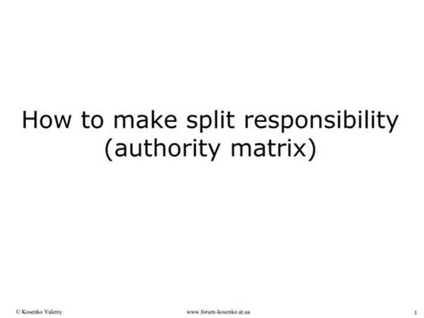 Responsibility Matrix Rm Pdf Responsibility Matrix Rm Pdf