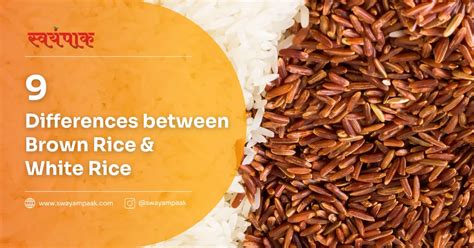 White Rice Vs Brown Rice 9 Points Fascinating Comparison