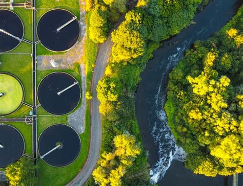 Nutrient Neutrality Calculator Campaigns News And Insights Ricardo