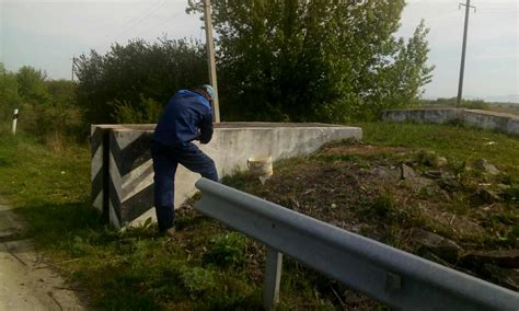 Виконання доглядових робіт з вирубки чагарнику та побілці ГТС в зоні діяльності Виноградівського