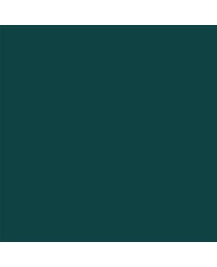 Color RAL - RAL-6004