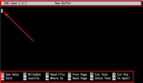 Common Linux CLI Text Editors SLURM Advanced Topics