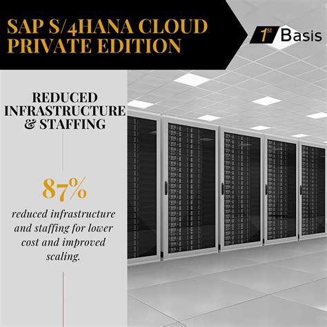 1st Basis Consulting On Linkedin Sap Sapbasis Saphosting Risewithsap Hosting Hostingsolutions