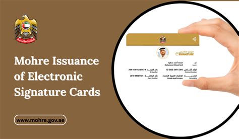 Uae Pass 2026 A Guide To Register Login And Use Secure Online Services