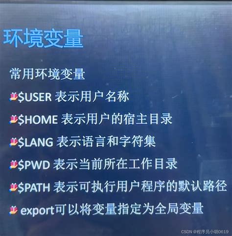 Linux Shell 脚本编程linux Shell脚本编写 Csdn博客