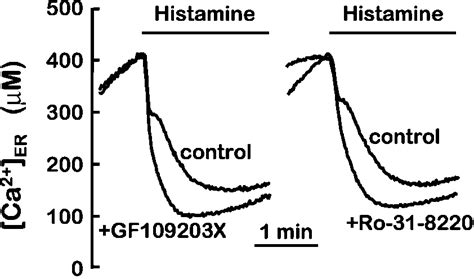 Effect Of The Protein Kinase C Inhibitors Gf109203x And Ro 31 8220 On