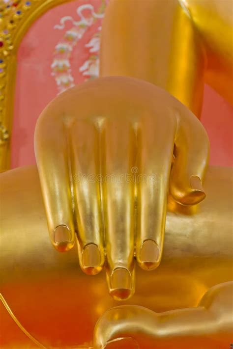 现有量在寺庙的菩萨雕象 库存照片 图片 包括有 编译 信念 镇痛药 雕塑 金子 历史记录 表面 28828100