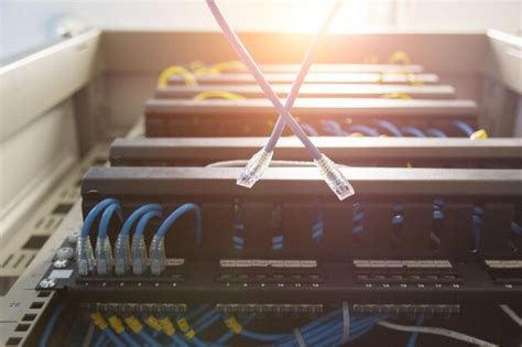 Premium Photo Connecting Network Cable To Switch