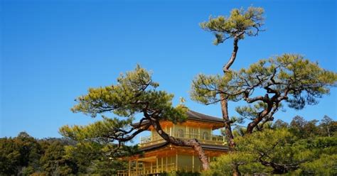 世界遺産・下鴨神社、糺の森を歩く。② 2012年04月30日｜文明のターンテーブル