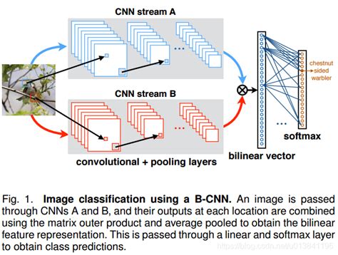 Bilinear Cnn Csdn博客