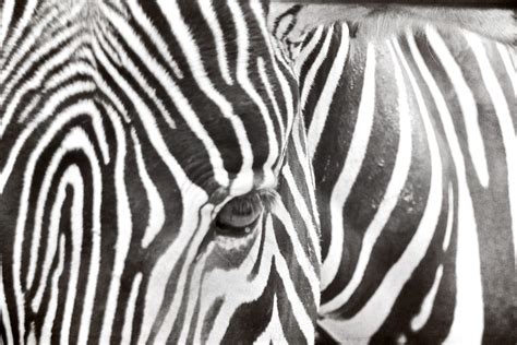 Machine Learning Linear Regression By Kirill Fuchs Fuzz Medium