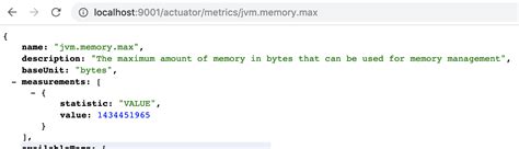 mismatch between spring actuator s jvm memory max metric and runtime