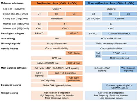 Advances In Histological And Molecular Classification Of Hepatocellular Carcinoma