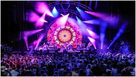 Los Diez Mejores Conciertos De La Historia Pyd