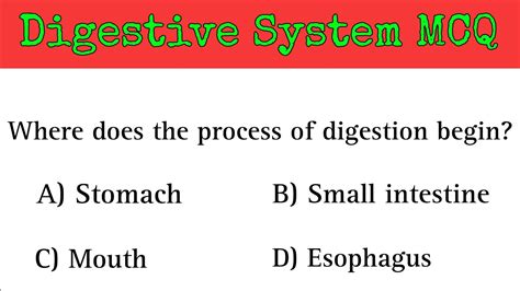 Digestive System Mcqs Youtube