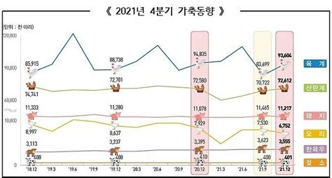 작년 4분기 한·육우 사육마릿수 16만 증가 송아지 가격 상승 영향