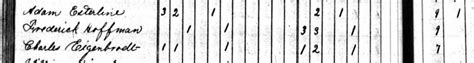 Friedrich Hoffmann 1865 Illinois State Census Madison County