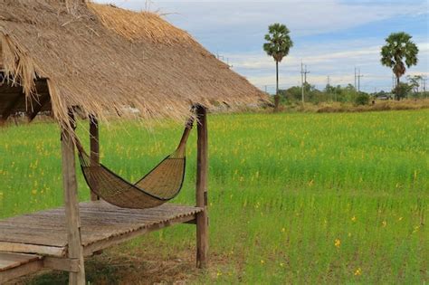 Premium Photo Beautiful View Of Wooden Hut In The Tropical Farm With