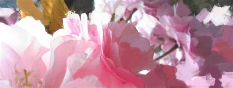 Katarou君の今日のお話！