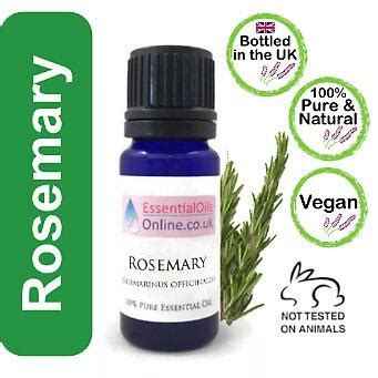 Buy Rosemary Essential Oil English Essential Oils Online